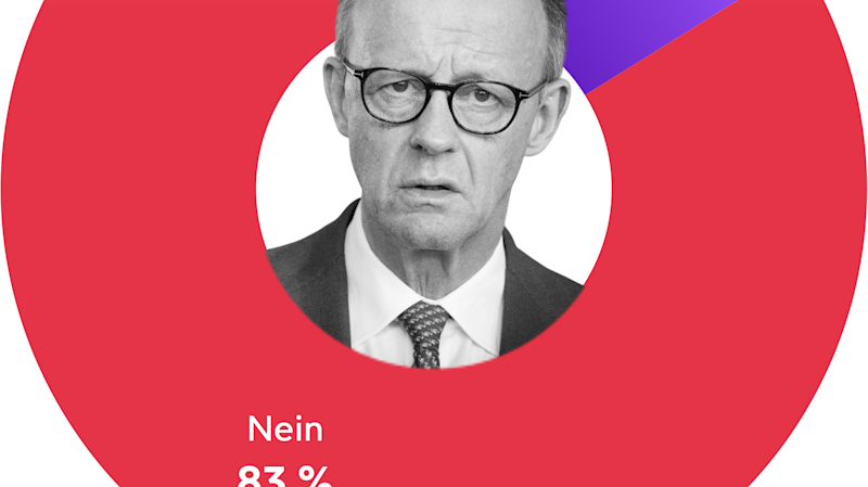 Merz, der Reformkanzler? | The Pioneer