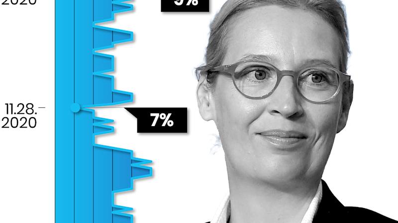The Development of the AfD | The Pioneer