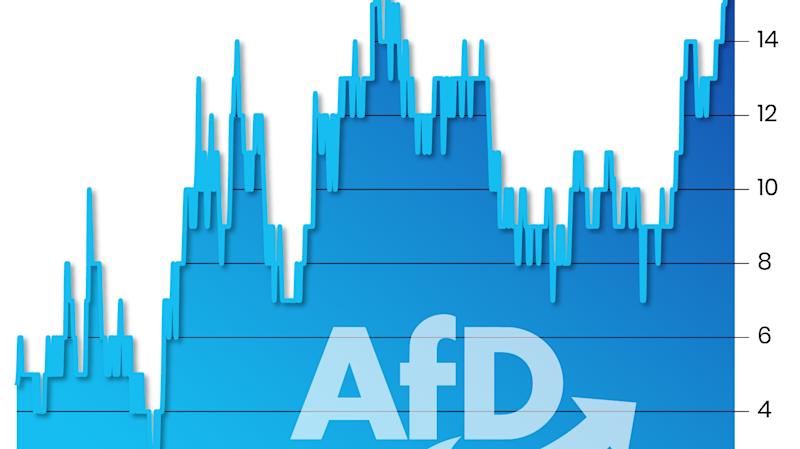 Aufstieg der AfD | The Pioneer