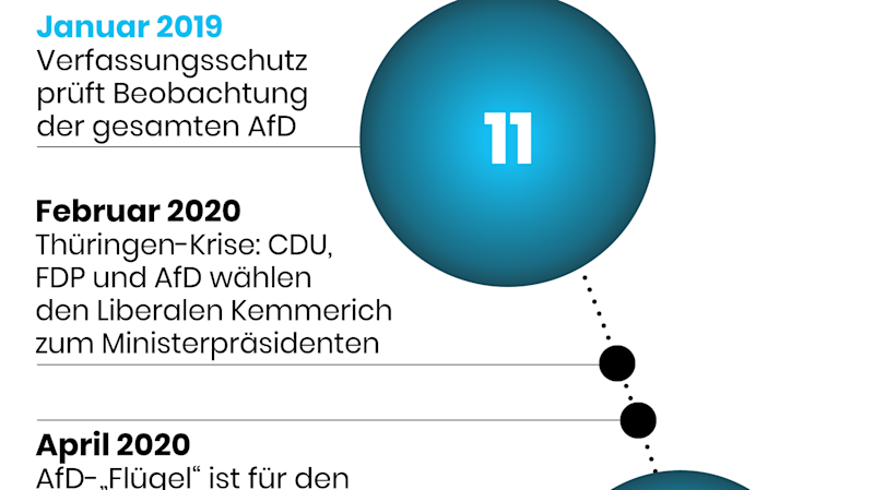 AfD: Aufstieg und Fall | The Pioneer