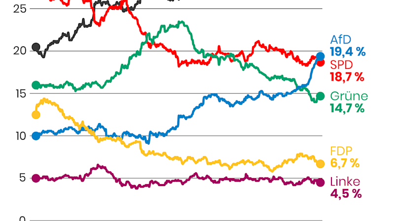 Aufstieg der AfD | The Pioneer