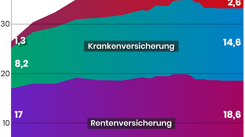 Hoher Beitrag zum Sozialstaat | The Pioneer